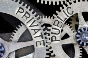 Public VS Private Domain Info in the WHOIS Database – ProgrameSecure